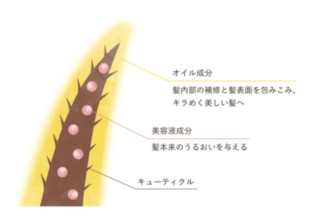oil in serum | soeff professional 株式会社