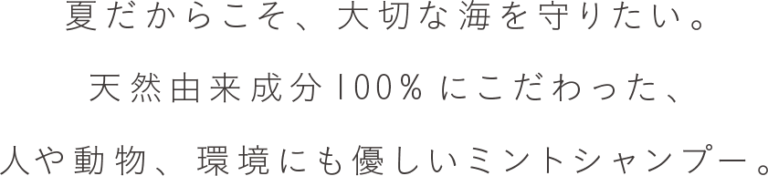 summer shampoo | soeff professional 株式会社